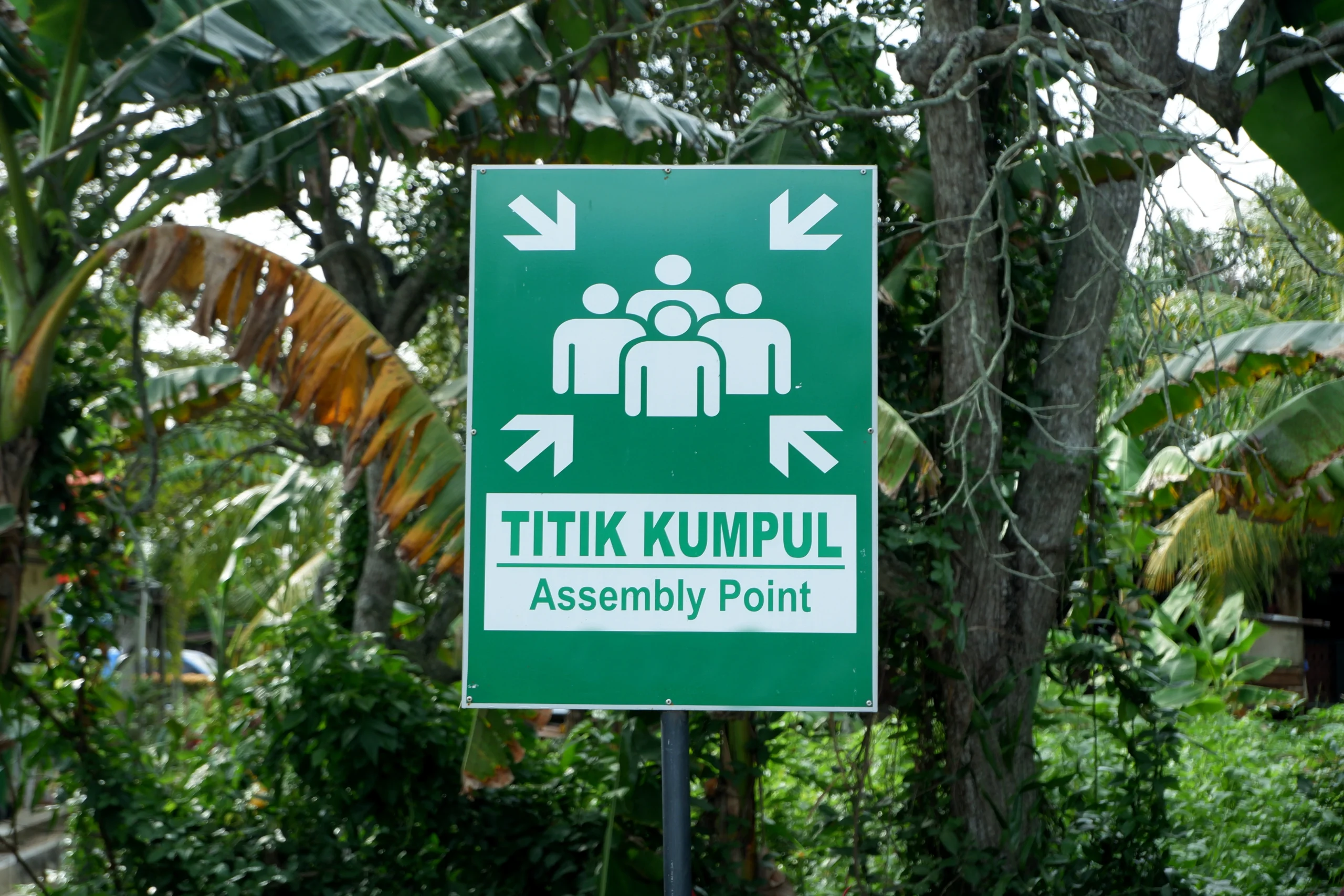 Mengenal Titik Kumpul (Assembly Point), Fungsi, dan Kriteria ...